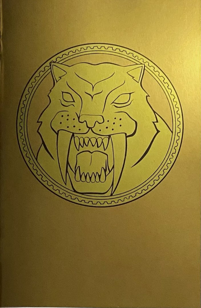 Mighty Morphin Power Rangers #118 - 2024 C2E2 - Yellow Ranger Power ...