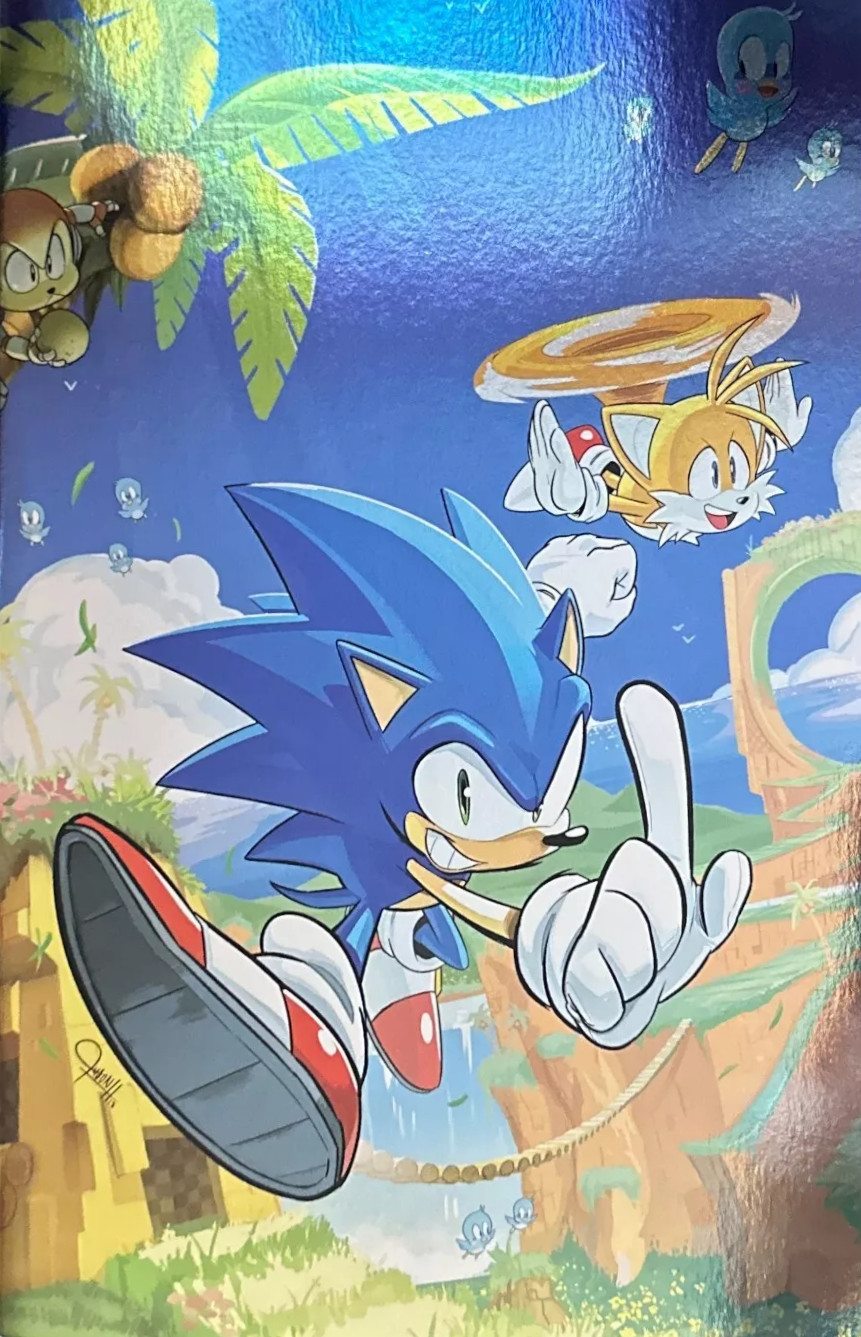 Sonic The Hedgehog #1 - Tyson Hesse - 2024 C2E2 - Stashhhloot - Virgin ...